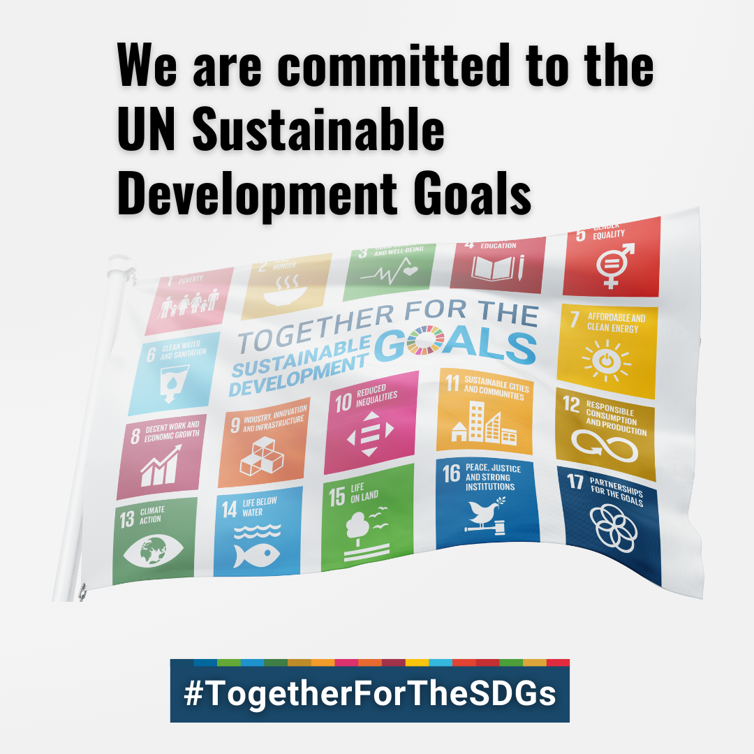 SDG Flag Day: visuals - Global Compact Network Finland