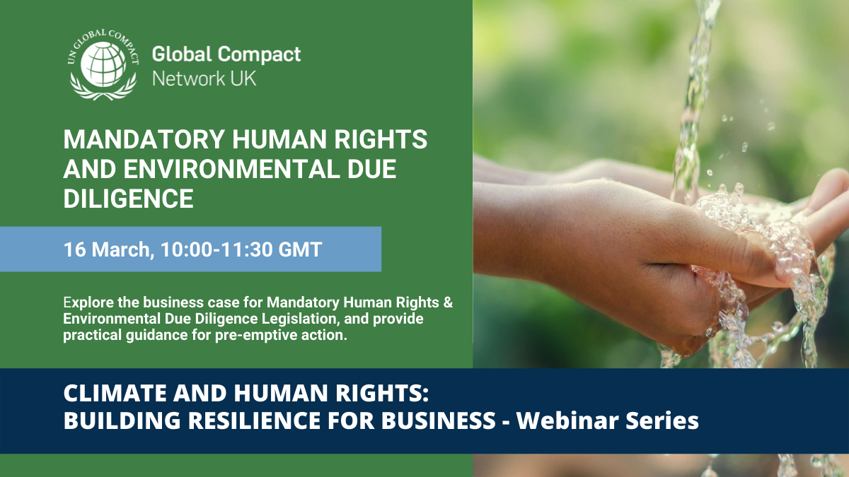 Mandatory Human Rights And Environmental Due Diligence Un Global